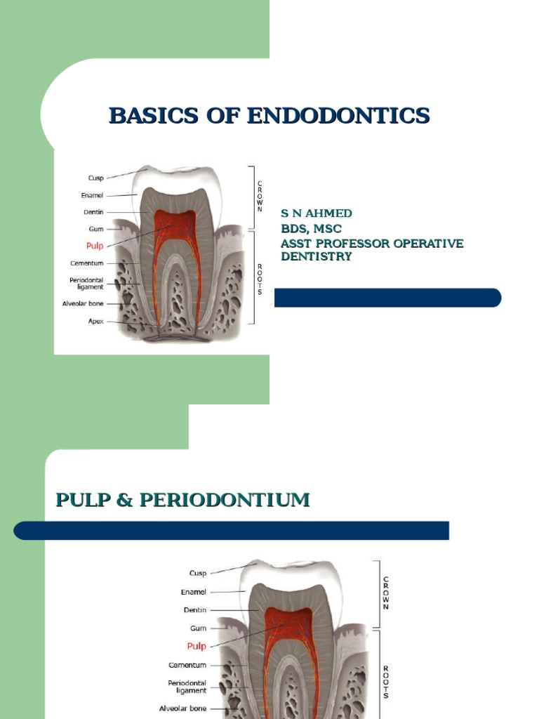 Basics of Endodontics Guide | PDF | Clinical Medicine | Dentistry Branches