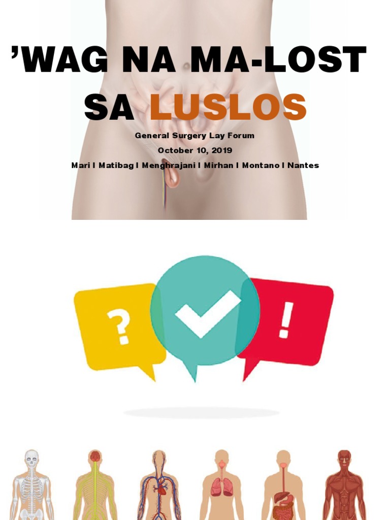 Luslos Lay Forum GS | PDF