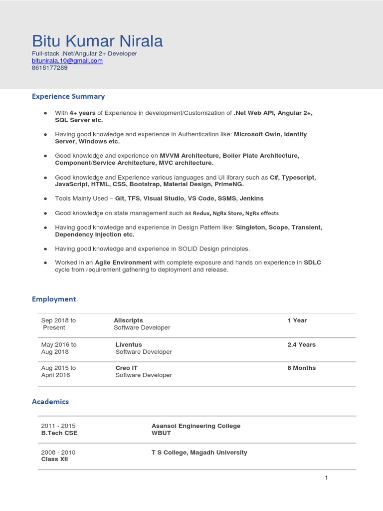 Bitu Kumar Nirala: Experience Summary | PDF | Web Application ...