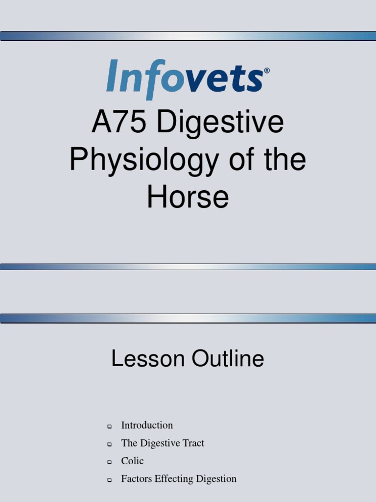 1-Equine Digestion PowerPoint | PDF | Human Digestive System ...