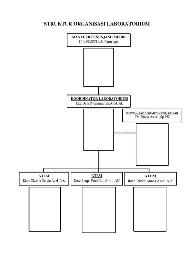 Struktur Organisasi Laboratorium | PDF