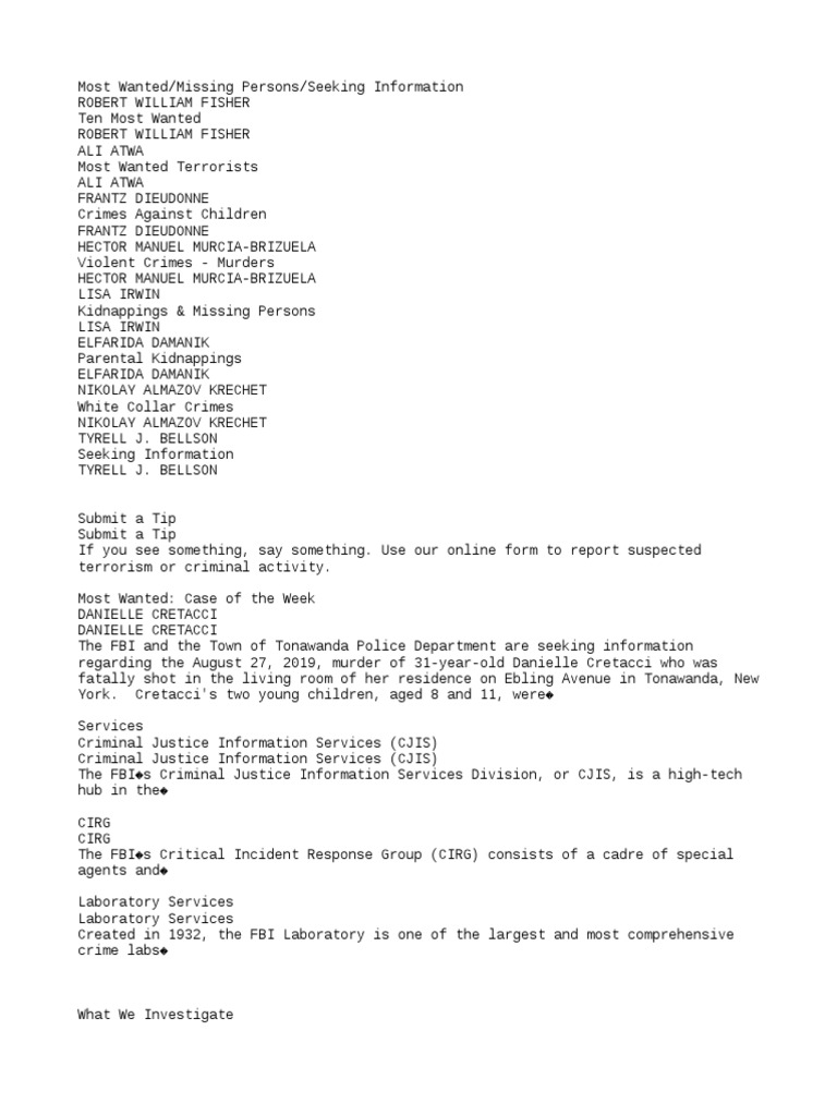 Fbi 2019 | PDF | Federal Bureau Of Investigation | American Government