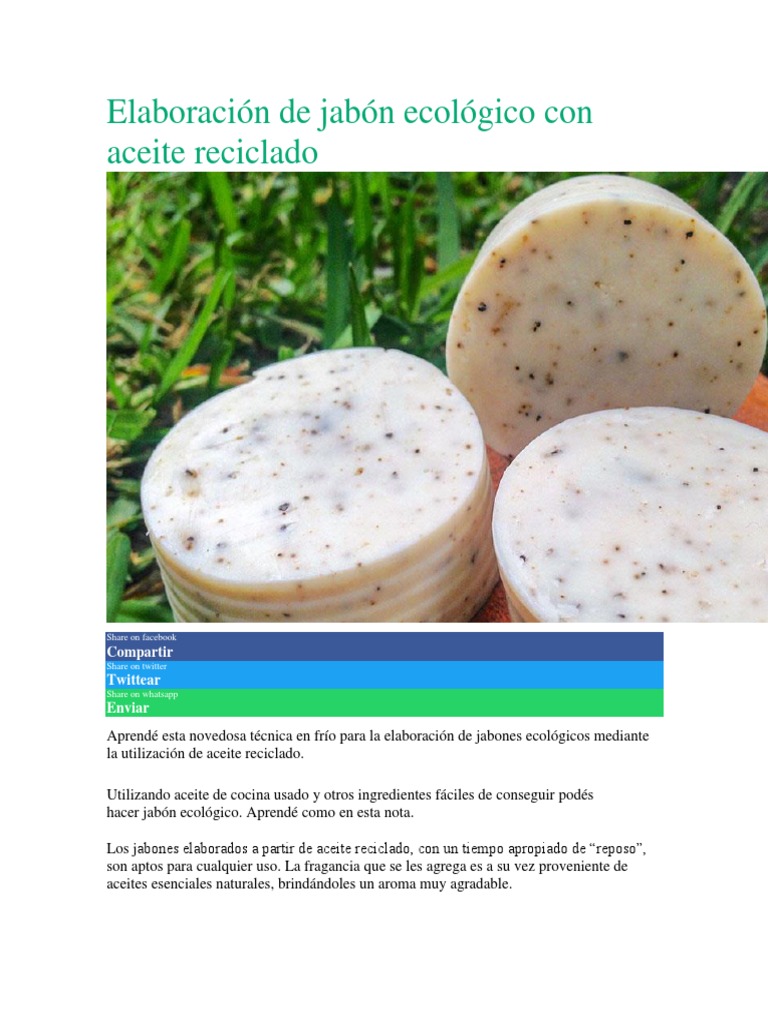 Elaboración de Jabón Ecológico Con Aceite Reciclado | PDF | Jabón | Petróleo