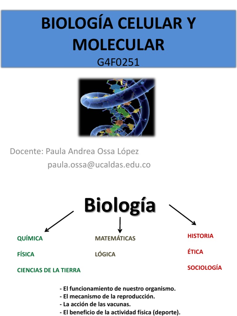 Introducción a Biología Celular | PDF | Membrana celular | Bicapa lipídica