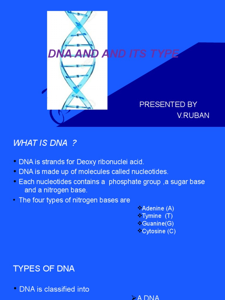 Dna and and Its Type: Presented by V.Ruban | PDF | Science & Mathematics