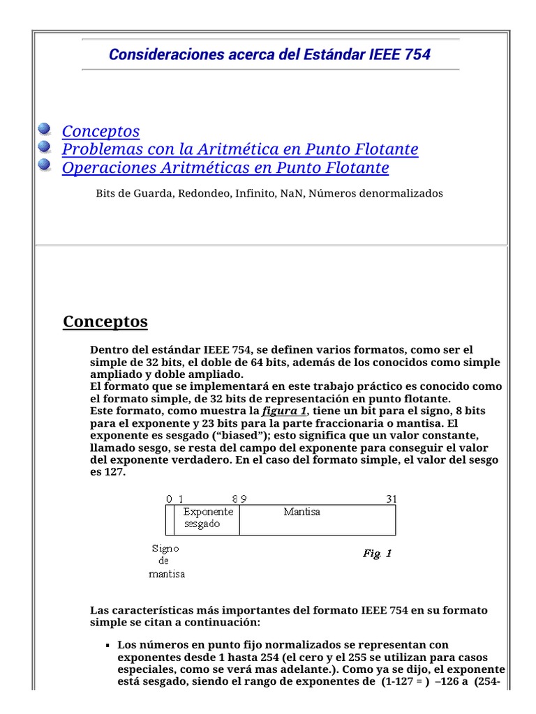 Estandar IEEE 754 | PDF | Teoría de la computación | Poco