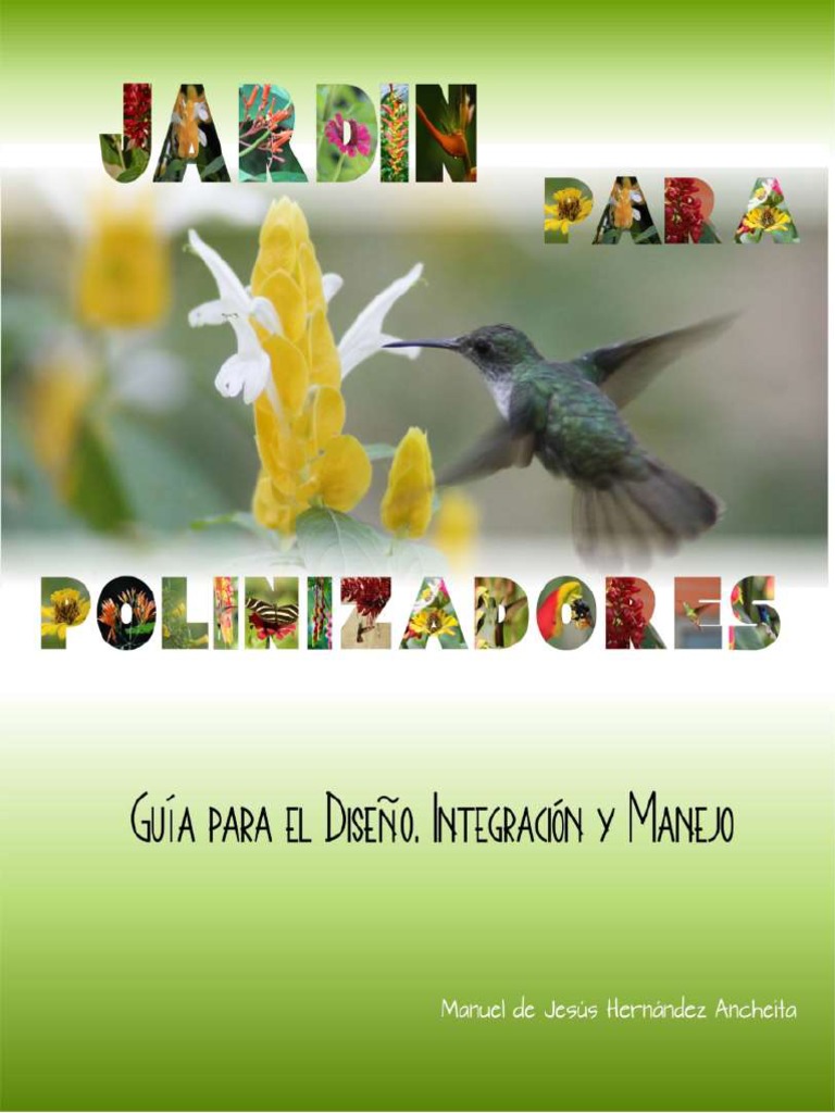 Guia Jardin para Polinizadores | PDF | Polinizadores | Flores
