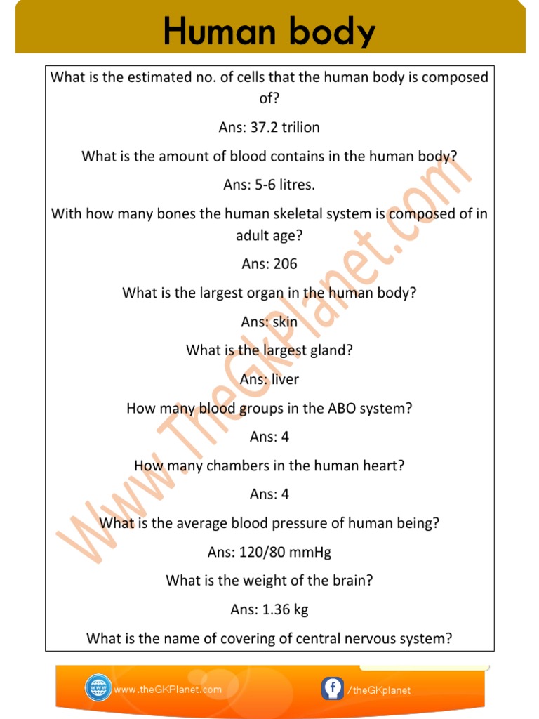 General Knowledge About Human Body | PDF | Human Body | Stomach