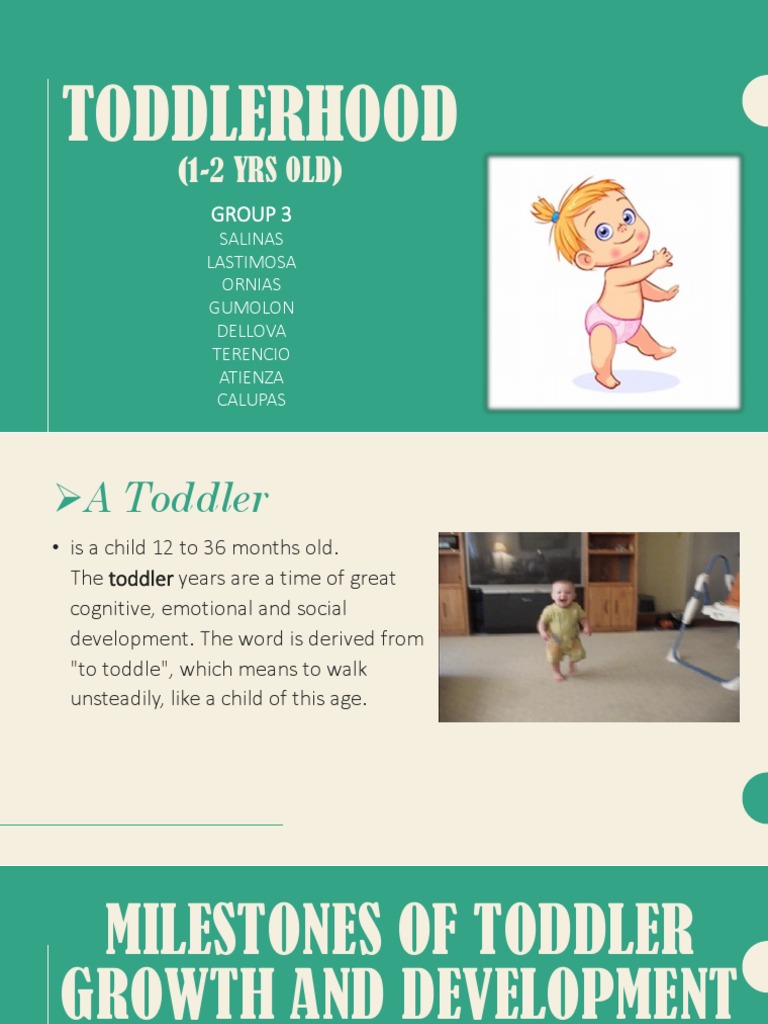 Toddlerhood: (1-2 YRS OLD) | PDF | Respiratory System | Toddler