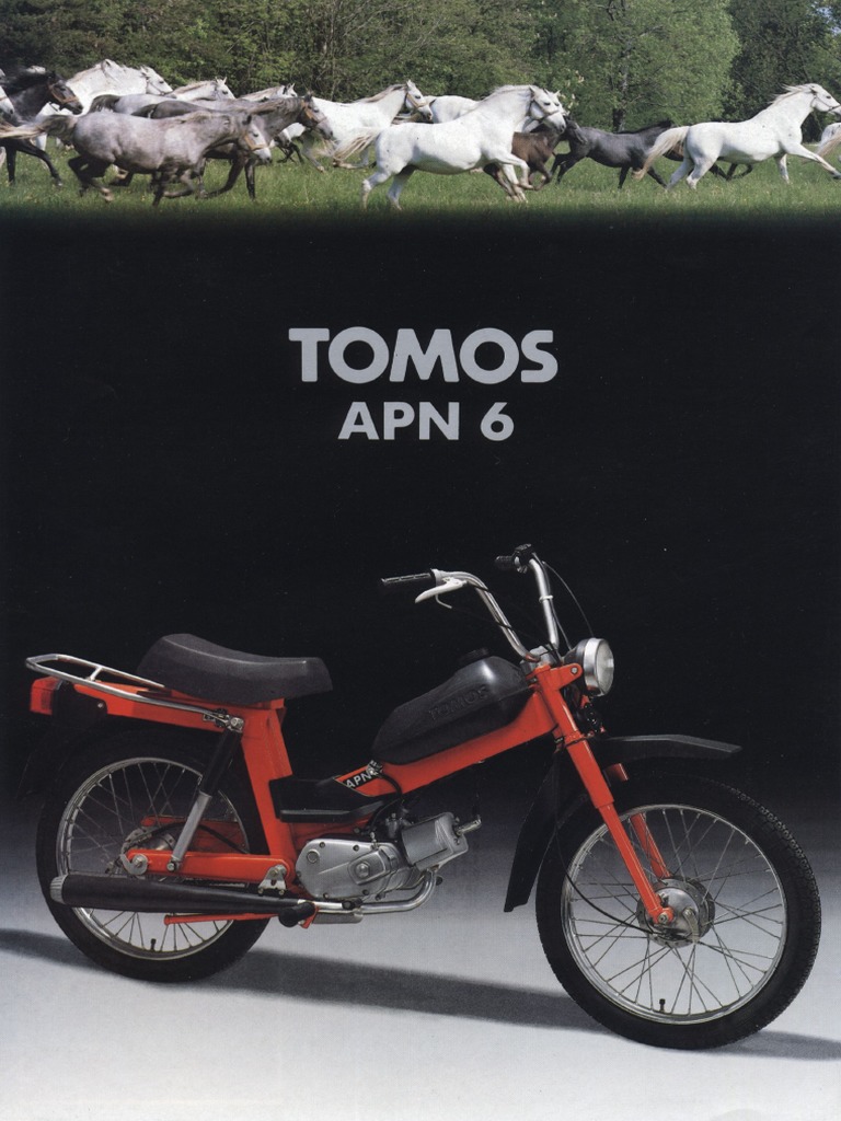 Tomos | PDF