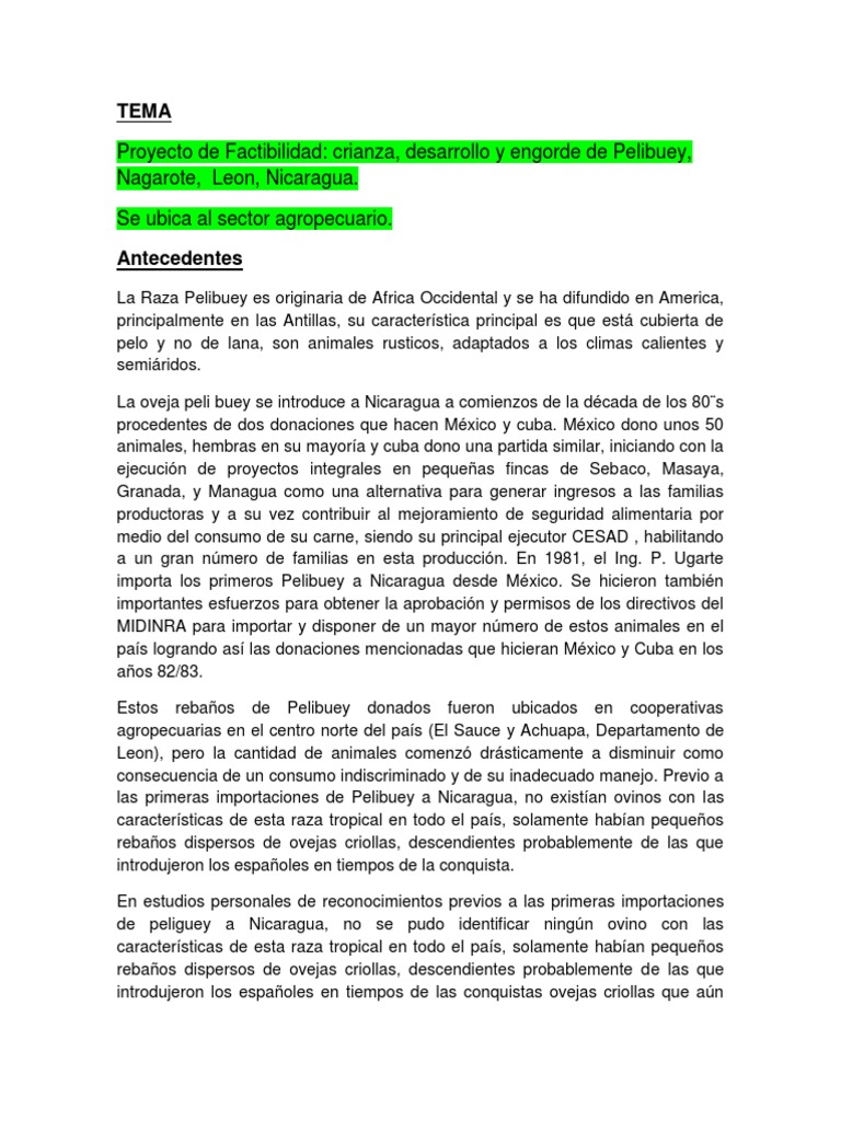 Peliguey Final | PDF | Oveja | Carne