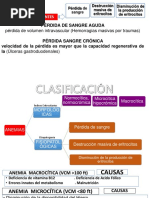 Escala FindRisc Diabetes | PDF | Diabetes | Endocrino