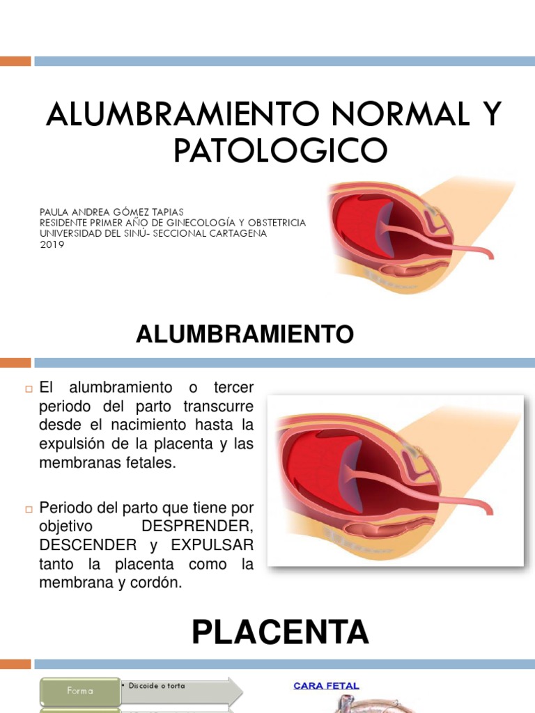 Alumbramiento Normal y Patologico | PDF | Placenta | Parto