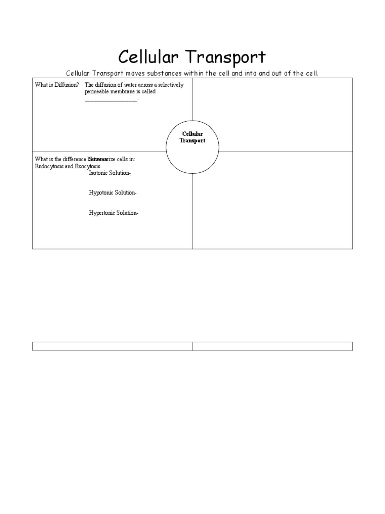 Frayer Model Cellular Transport | PDF | Social Science | Wellness