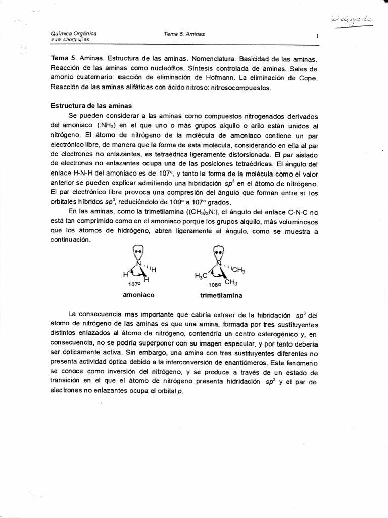 5 Aminas | PDF | Amina | Amonio