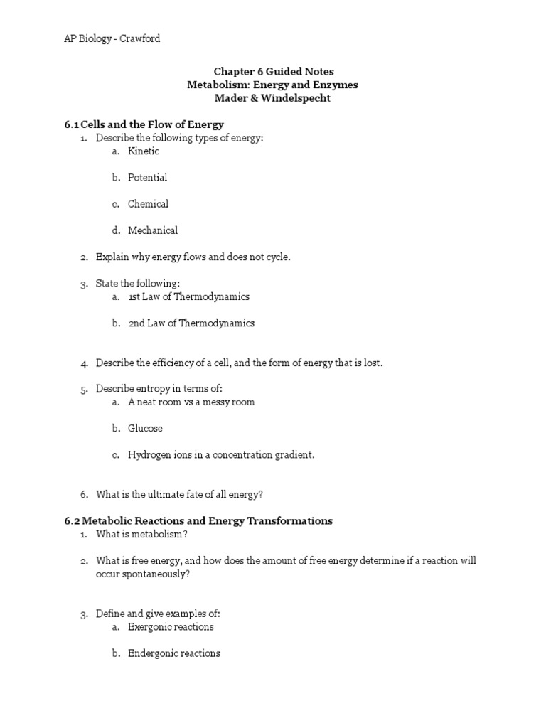 Chapter 6 Guided Notes | PDF | Metabolic Pathway | Enzyme