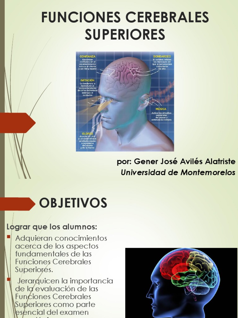 Funciones Mentales Superiores | PDF | Afasia | Memoria