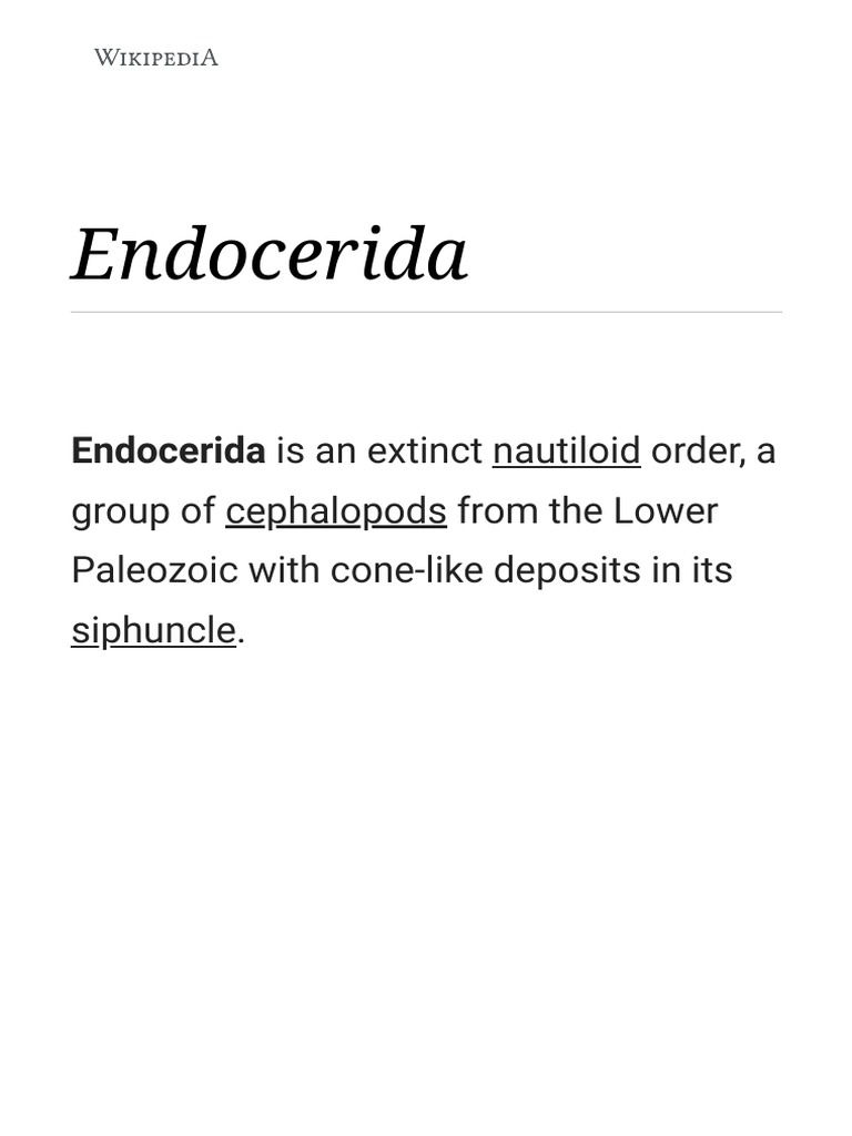 Endocerida: Endocerida Is An Extinct Nautiloid Order, A | Download Free ...