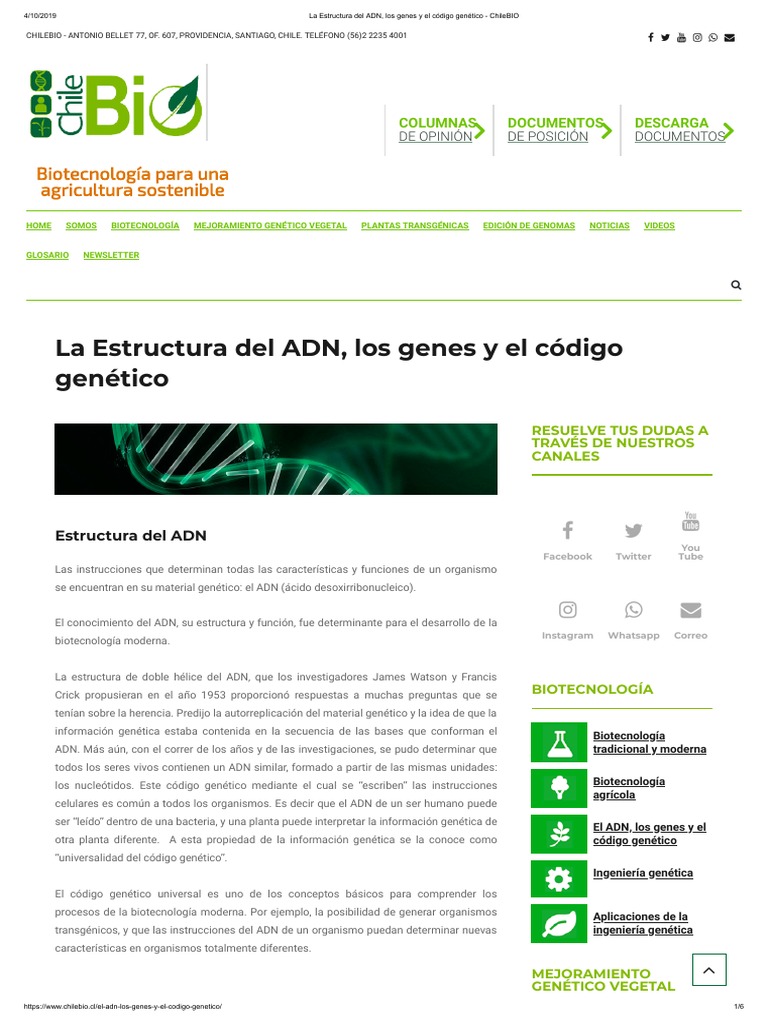 La Estructura Del ADN, Los Genes y El Código Genético - ChileBIO | PDF | Adn | Rna