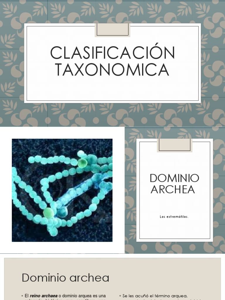 Arqueas: Extremófilos Unicelulares | PDF | Archaea | Las bacterias