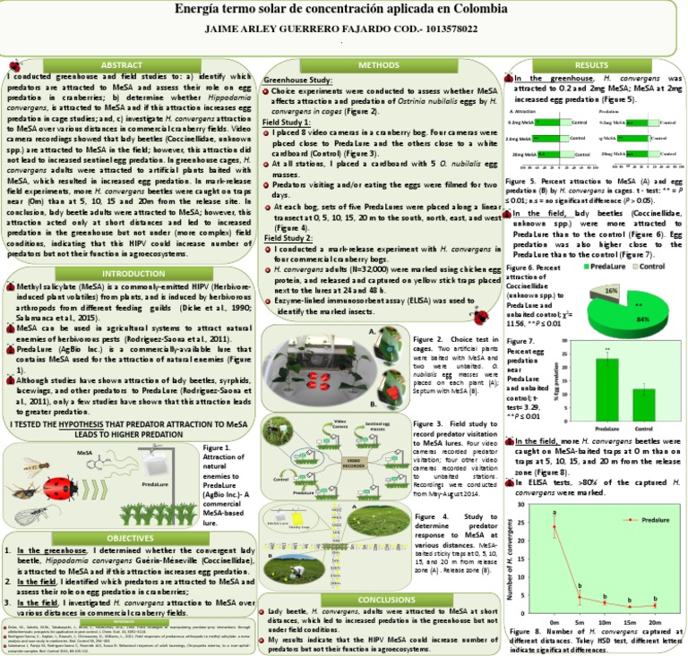 Poster | PDF | Coccinellidae | Predation