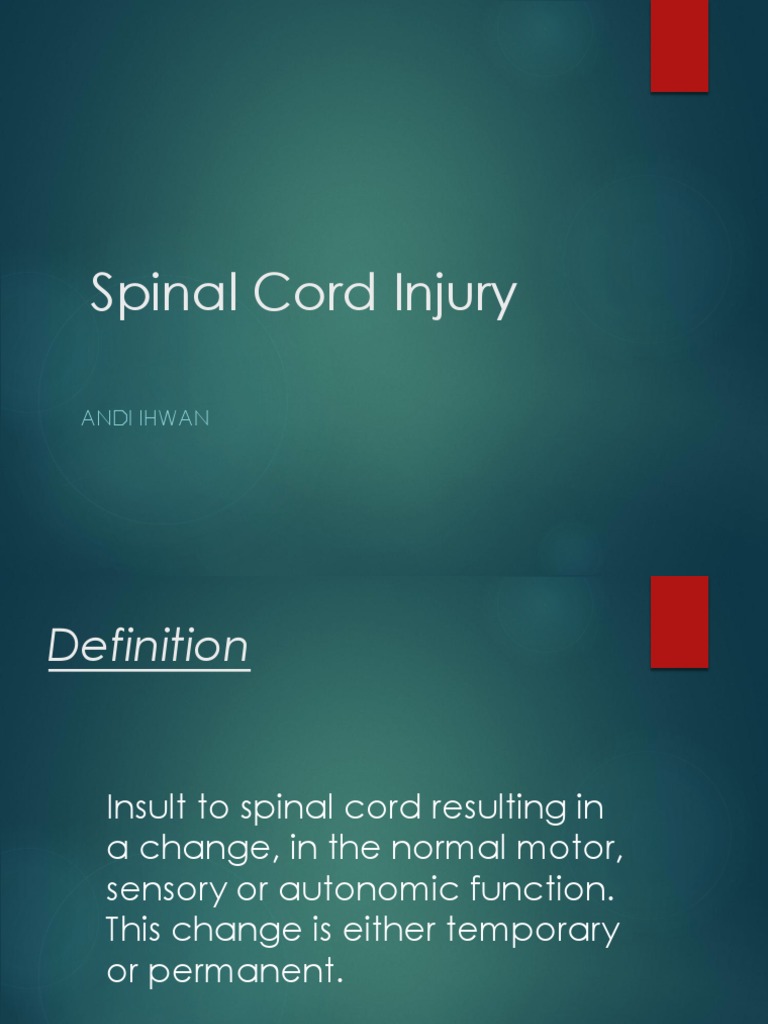 Spinal Cord Injury: Andi Ihwan | PDF | Spinal Cord Injury | Spinal Cord