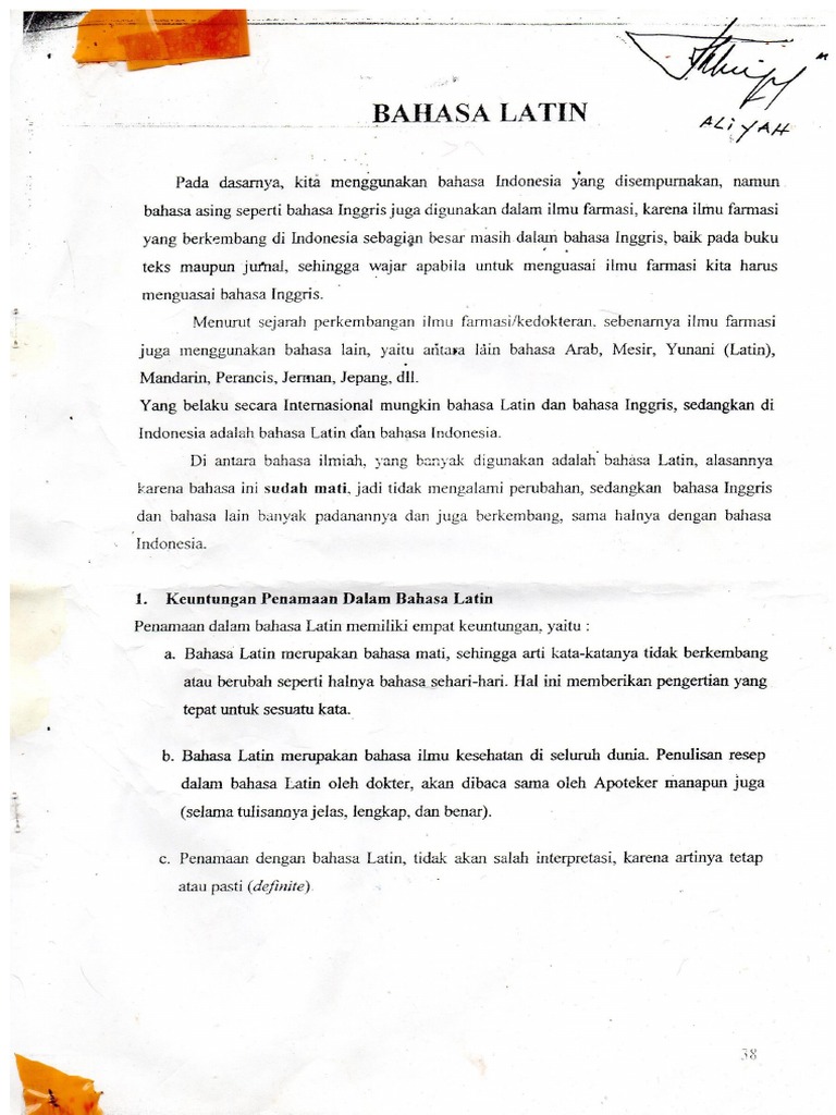 Bahasa Latin 1 | PDF