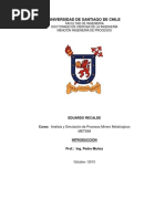 Bruno Metso | PDF | Simulación | Software