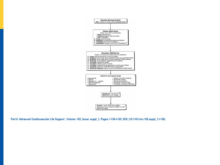 Pulseless Electrical Activity Algorithm | PDF
