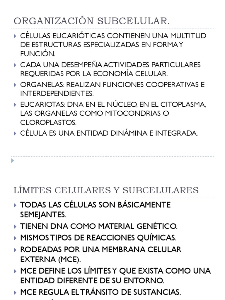 Organización Subcelular | PDF