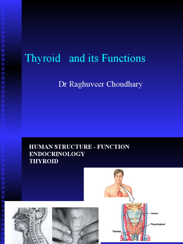Thyroid and Its Functions: DR Raghuveer Choudhary | PDF | Thyroid ...