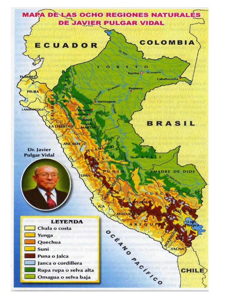 Las 8 Regiones Naturales Del Peru | PDF
