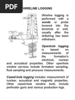 Schlumberger Production Logging Tool Program | PDF | Valve | Nature