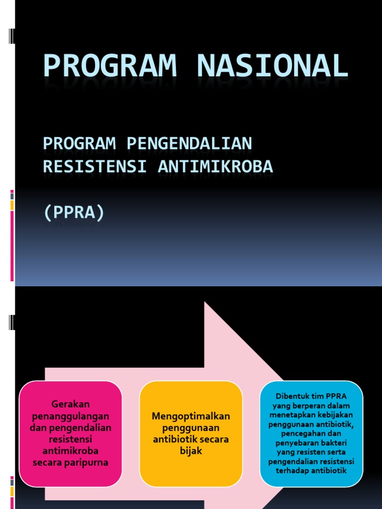 Program Nasional Ppra | PDF