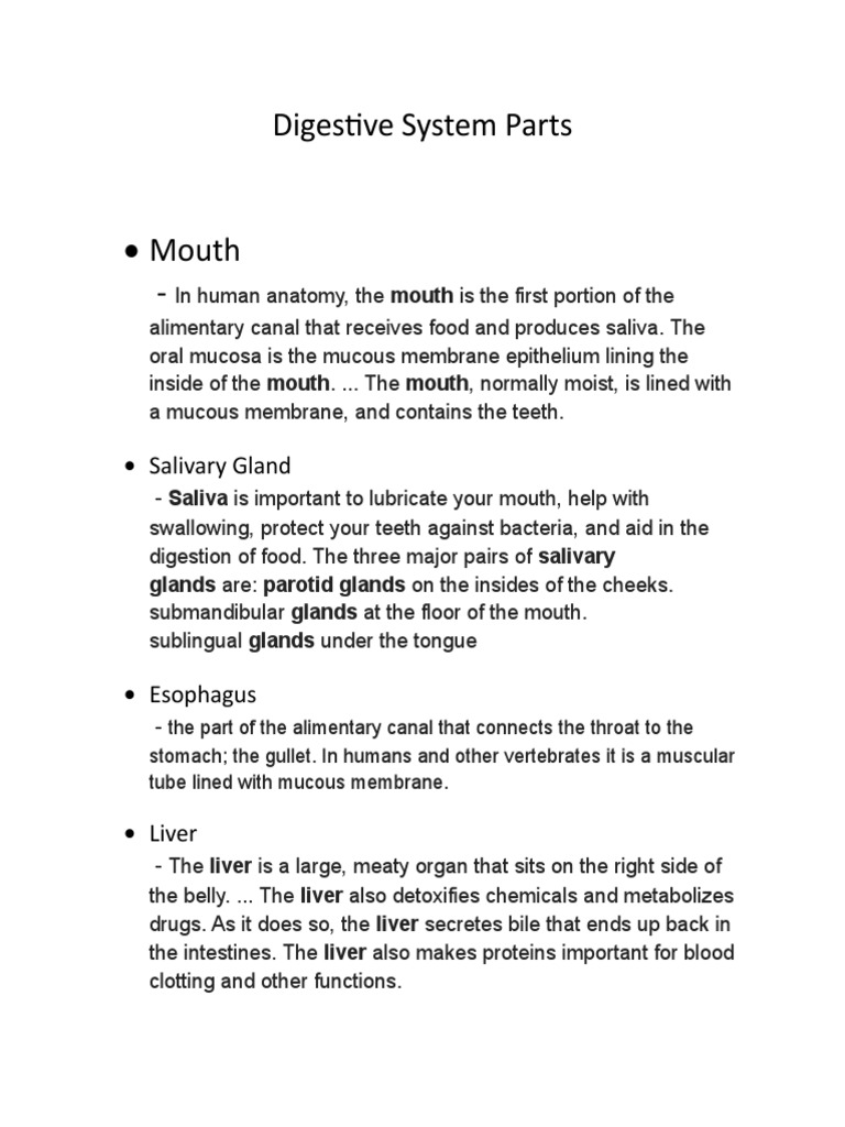 Digestive System Parts | PDF | Gastrointestinal Tract | Human Digestive ...