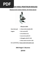 Pengamatan Sel Gabus Singkong | PDF | Griya & Taman