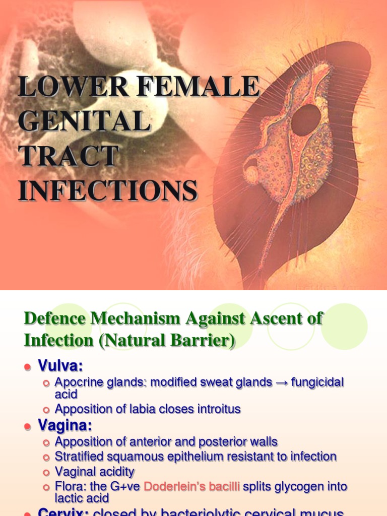 12 Lower Female Genital Tract Infections | PDF | Candidiasis | Vagina