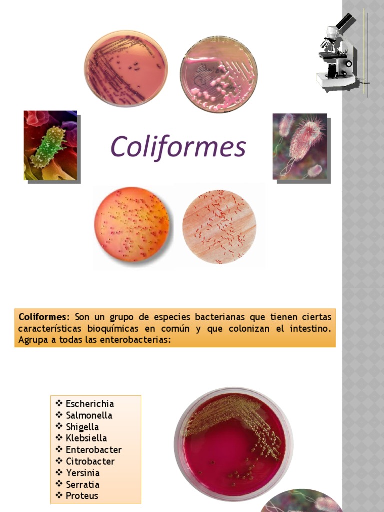 Coliformes | PDF | Las bacterias | Salmonela