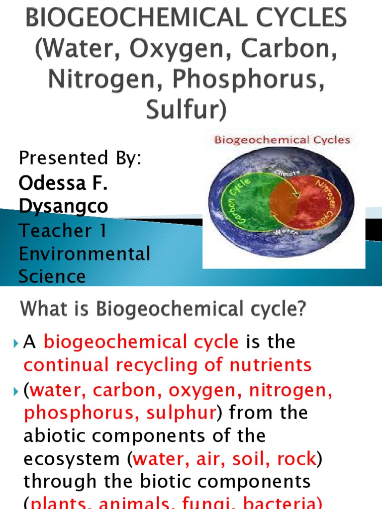 Understanding Biogeochemical Cycles | PDF | Evaporation | Water