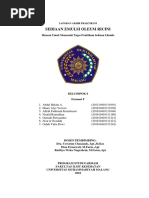 Kelompok 1 - Emulsi Oleum Ricini | PDF
