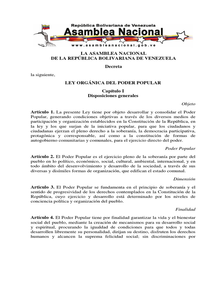 Ley Organica Del Poder Popular 09 12 10 PDF | PDF | Democracia ...