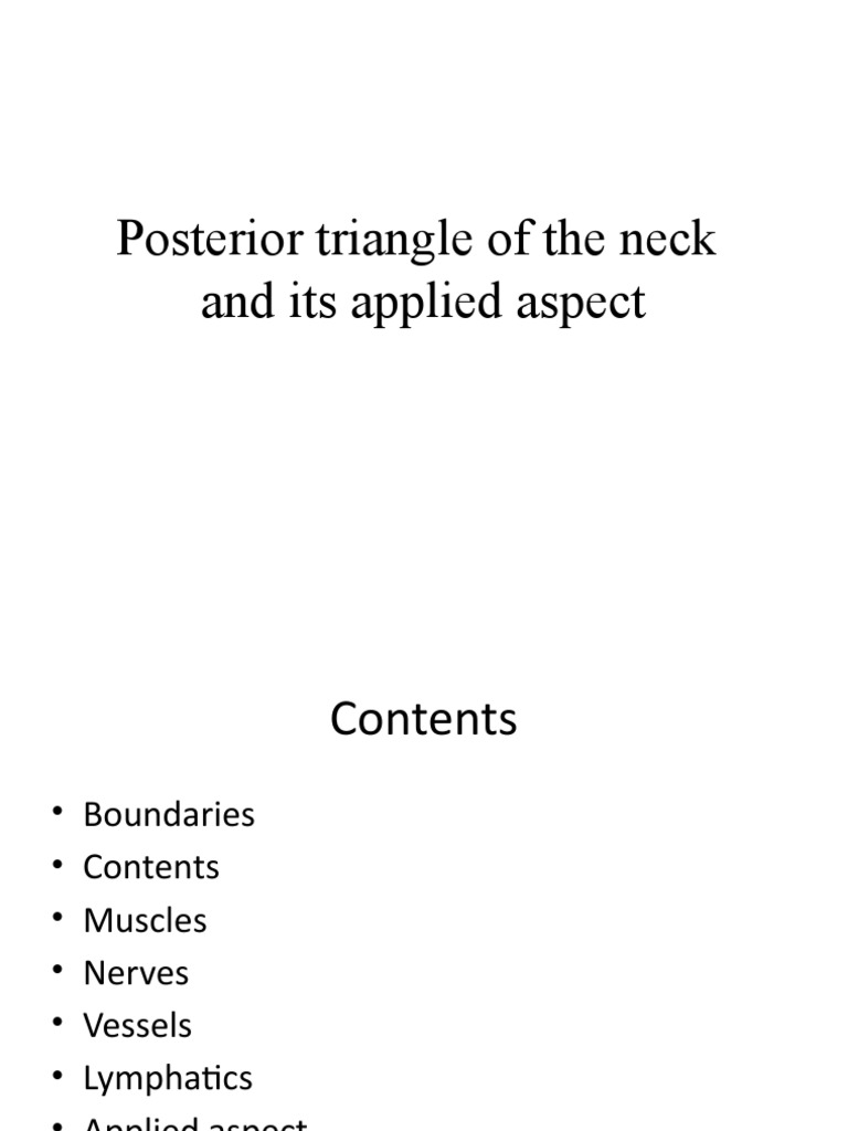 Anatomy of the Posterior Neck Triangle | PDF | Neck | Human Anatomy
