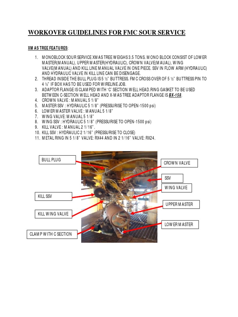FMC Workover Guide | PDF | Pipe (Fluid Conveyance) | Nut (Hardware)
