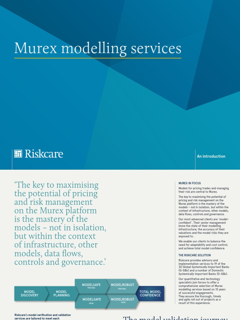 Murex Modelling | PDF | Verification And Validation | Risk Management
