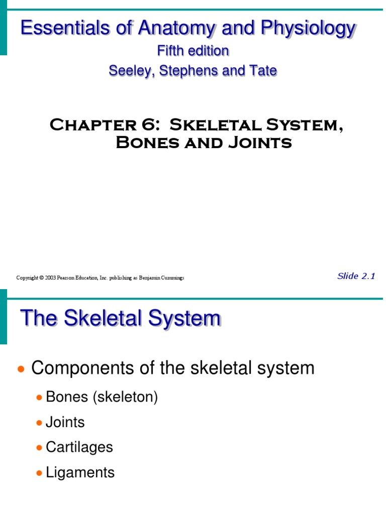 Skeletal System 1 Download Free Pdf Bone Skeleton