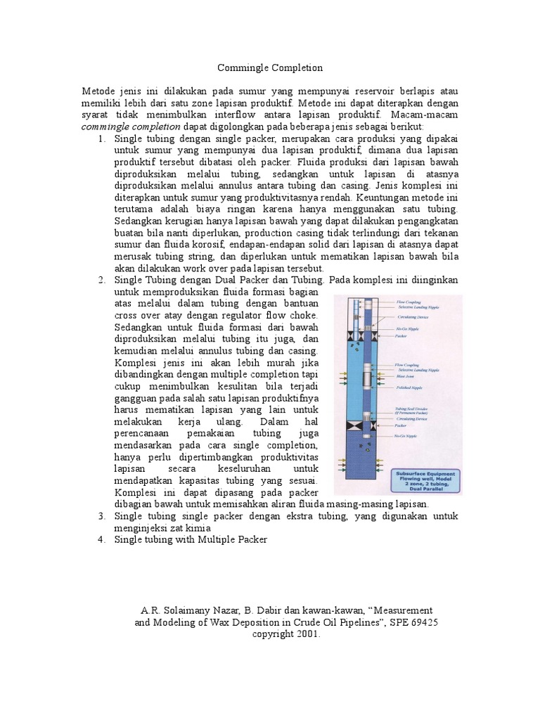 Commingle Completion | PDF