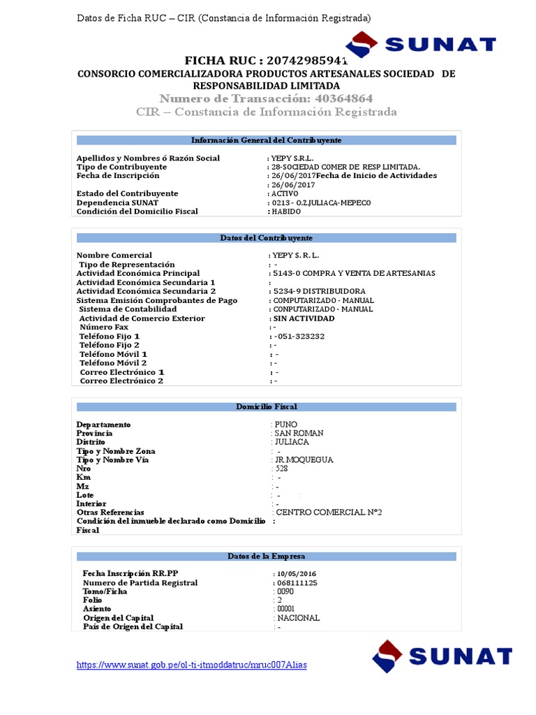 Ficha Ruc | PDF | Business