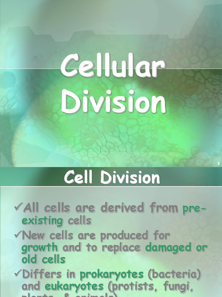 5 Cell Cycle Cell Division | PDF | Meiosis | Mitosis