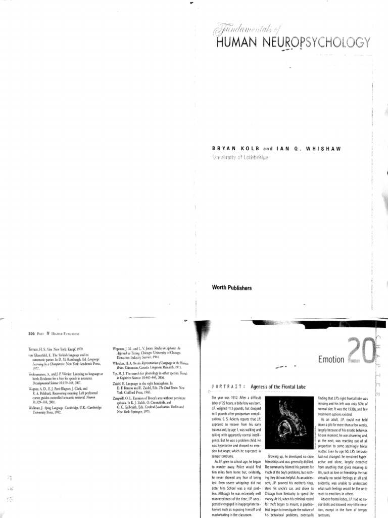 Neuropsychology of Emotions. | PDF