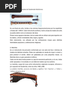 Significado de Ayotl en Mesoamérica | PDF